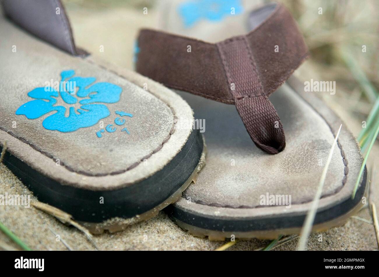 Pair of Reef sandals in beach setting Stock Photo - Alamy