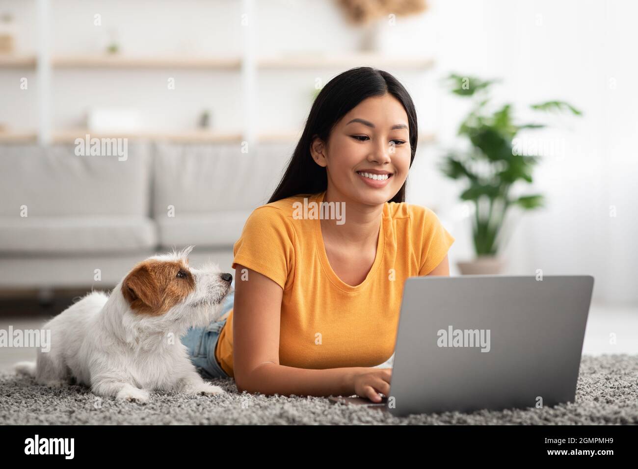 Asian female dog owner hi-res stock photography and images - Alamy