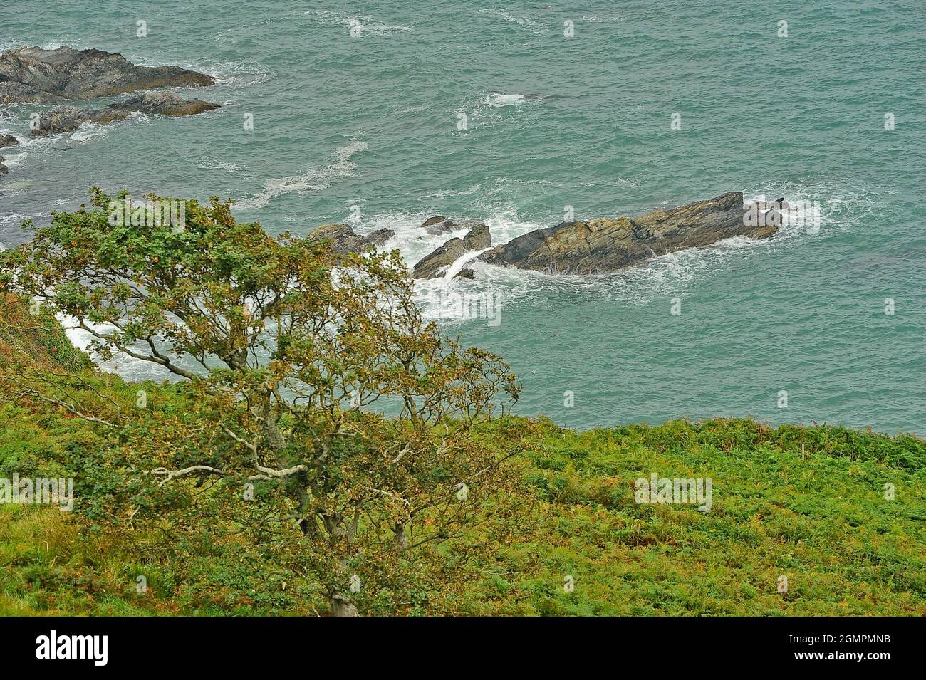Start Point Coast, Devon Stock Photo - Alamy