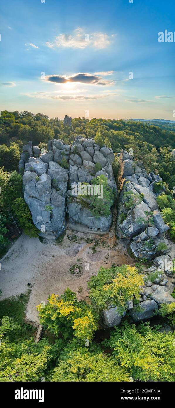 Panoramic view of bright landscape with green forest trees and big ...