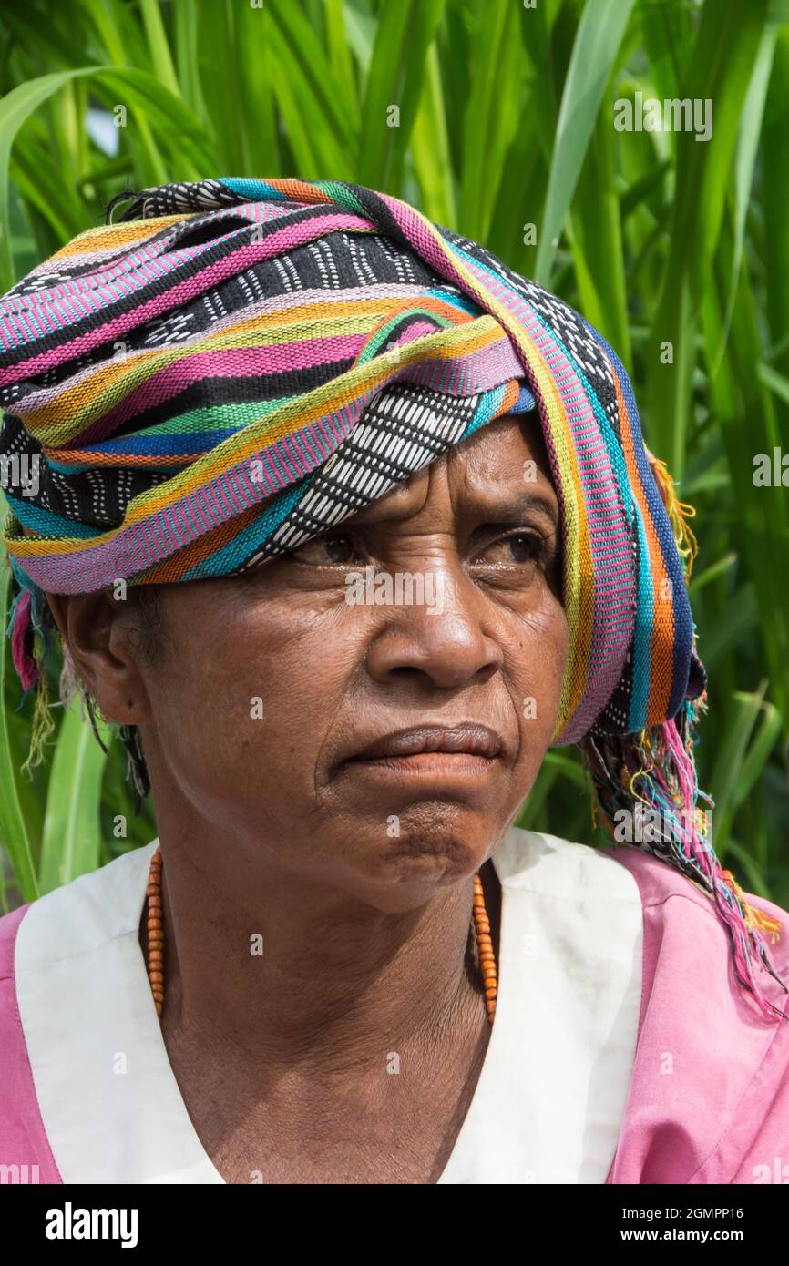Portrait of a Tetum woman with an ikat headscarf in Oinlasi vilage ...