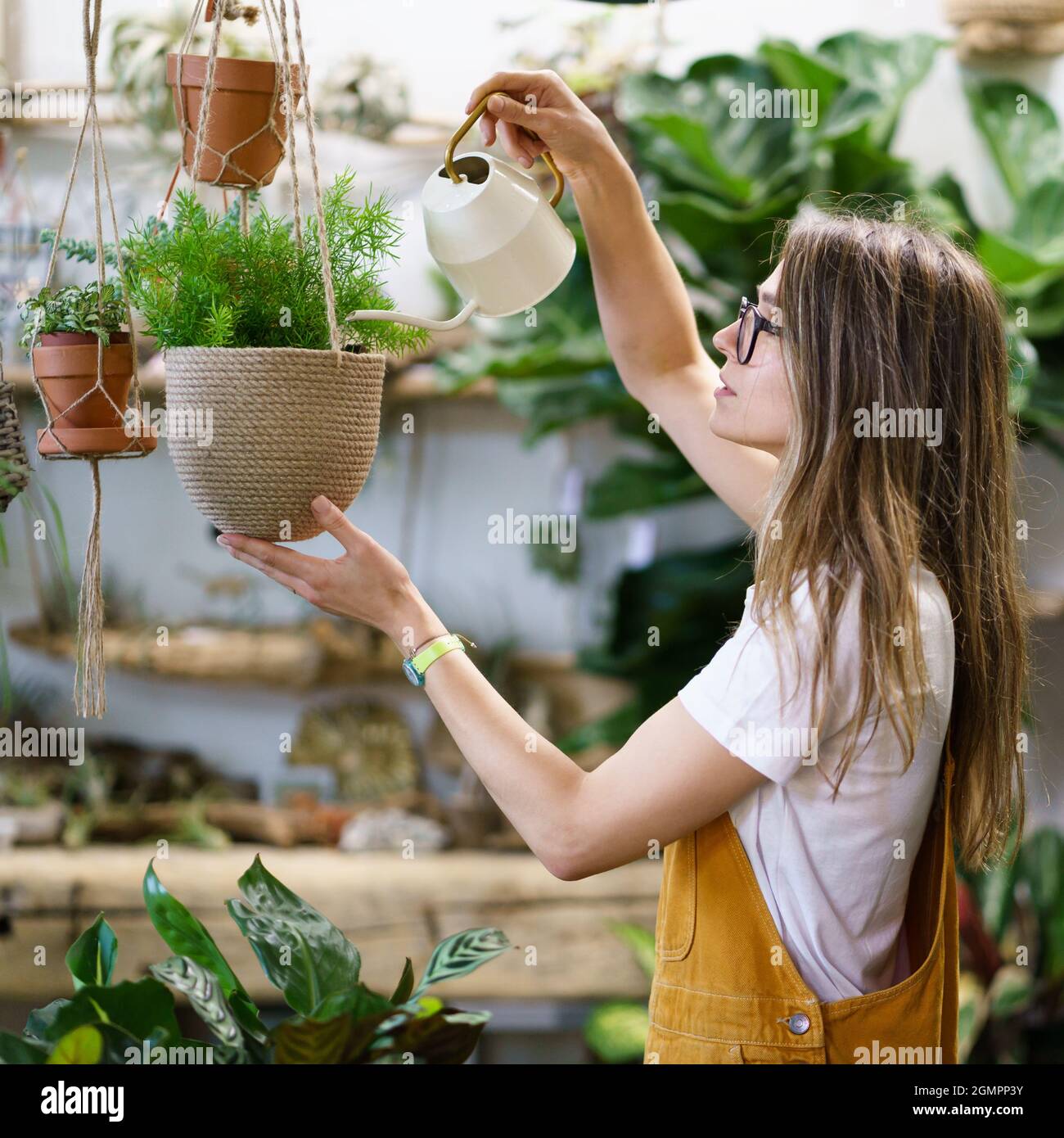 Girl gardener watering potted plant. Woman student florist take care of ...