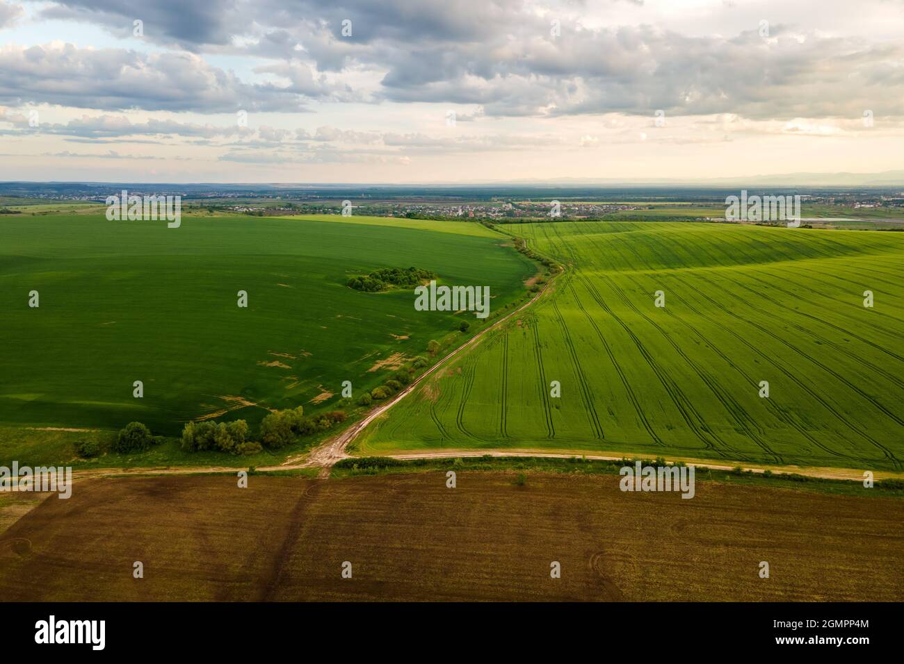 Aerial landscape view of green cultivated agricultural fields with ...
