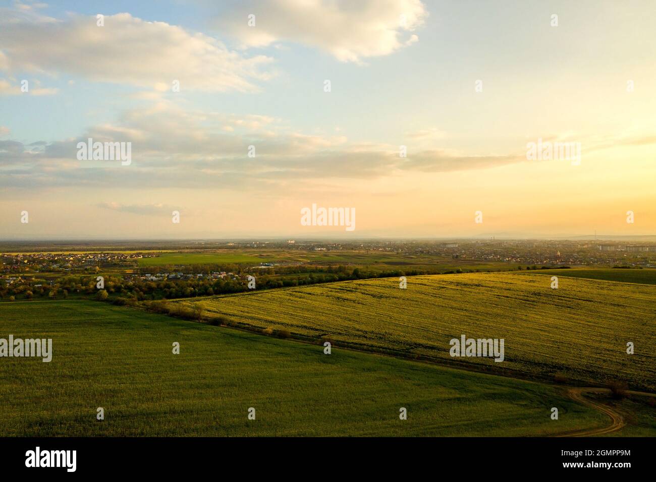 Aerial view of bright green agricultural farm field with growing ...