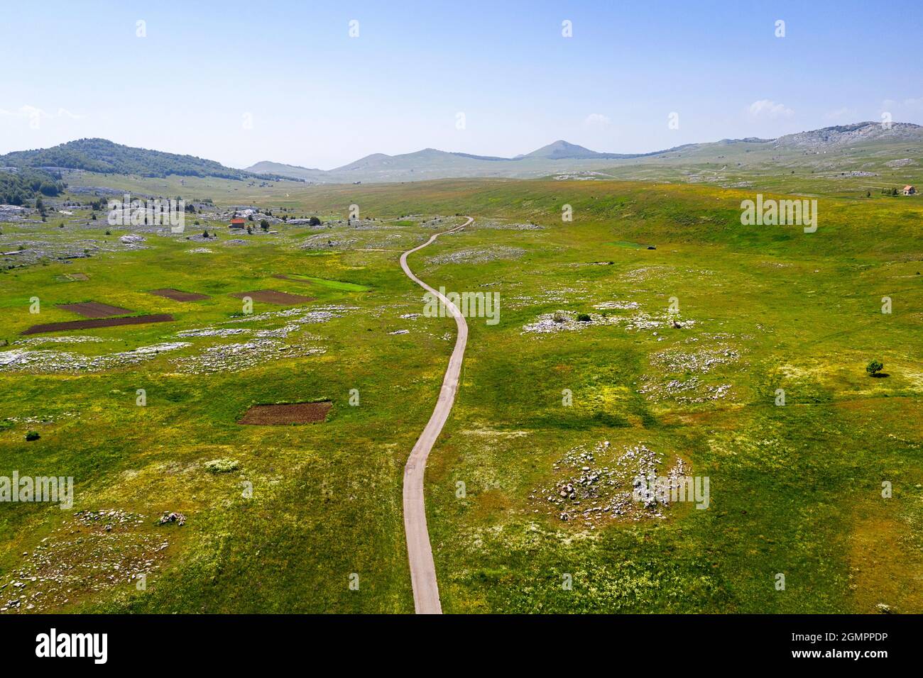 Aerial view of a windy road through beautiful landscape full of flowers ...