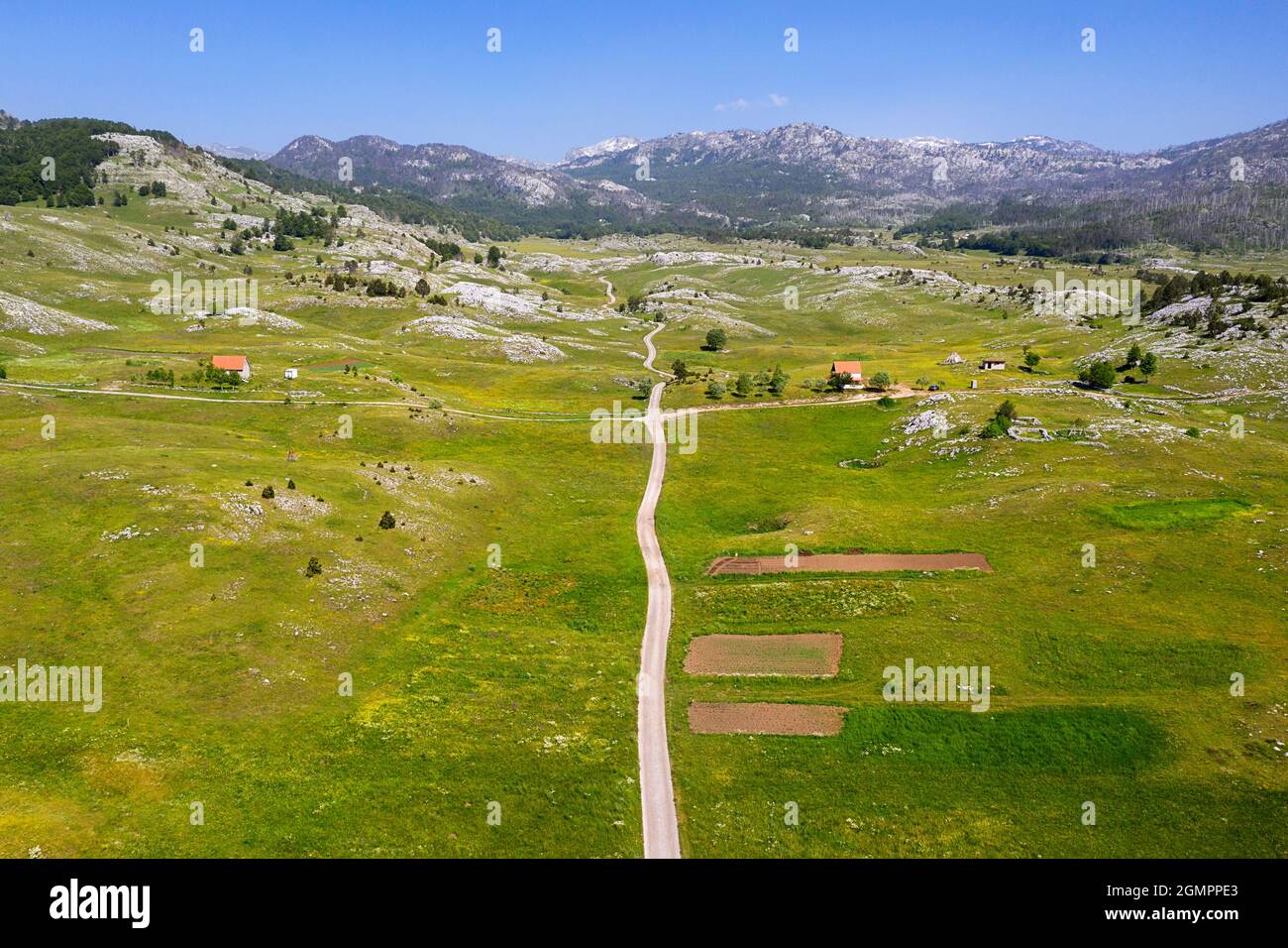 Aerial view of a windy road through beautiful landscape full of flowers ...