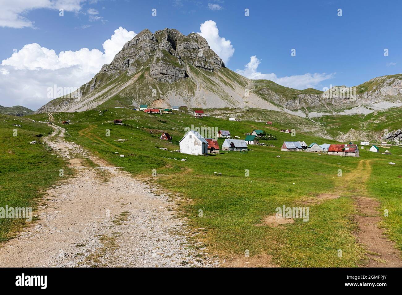 small traditional village on a beautiful lukavica meadow high in the ...