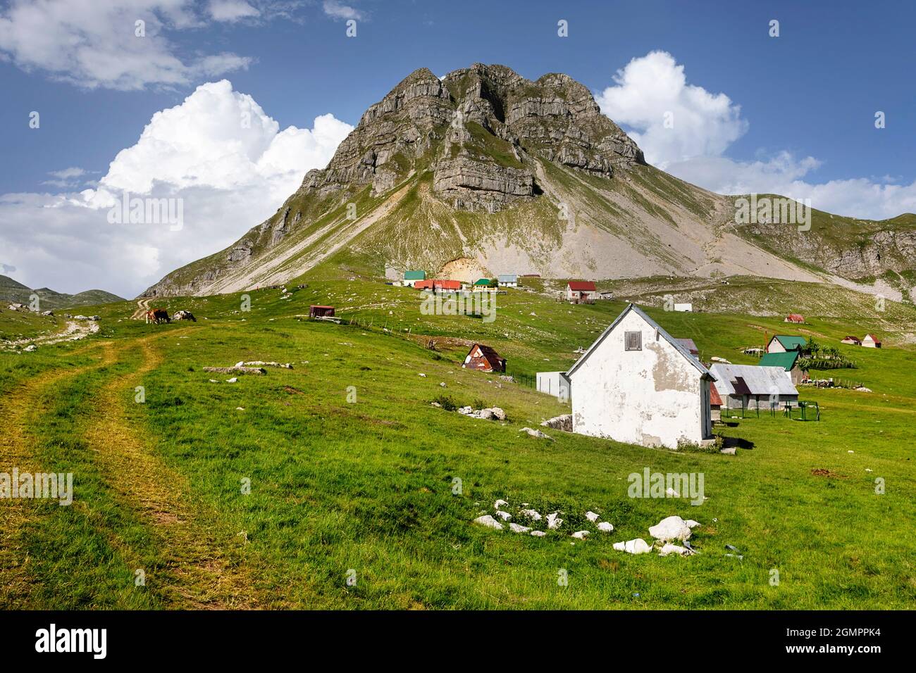small traditional houses on a beautiful lukavica meadow high in the ...