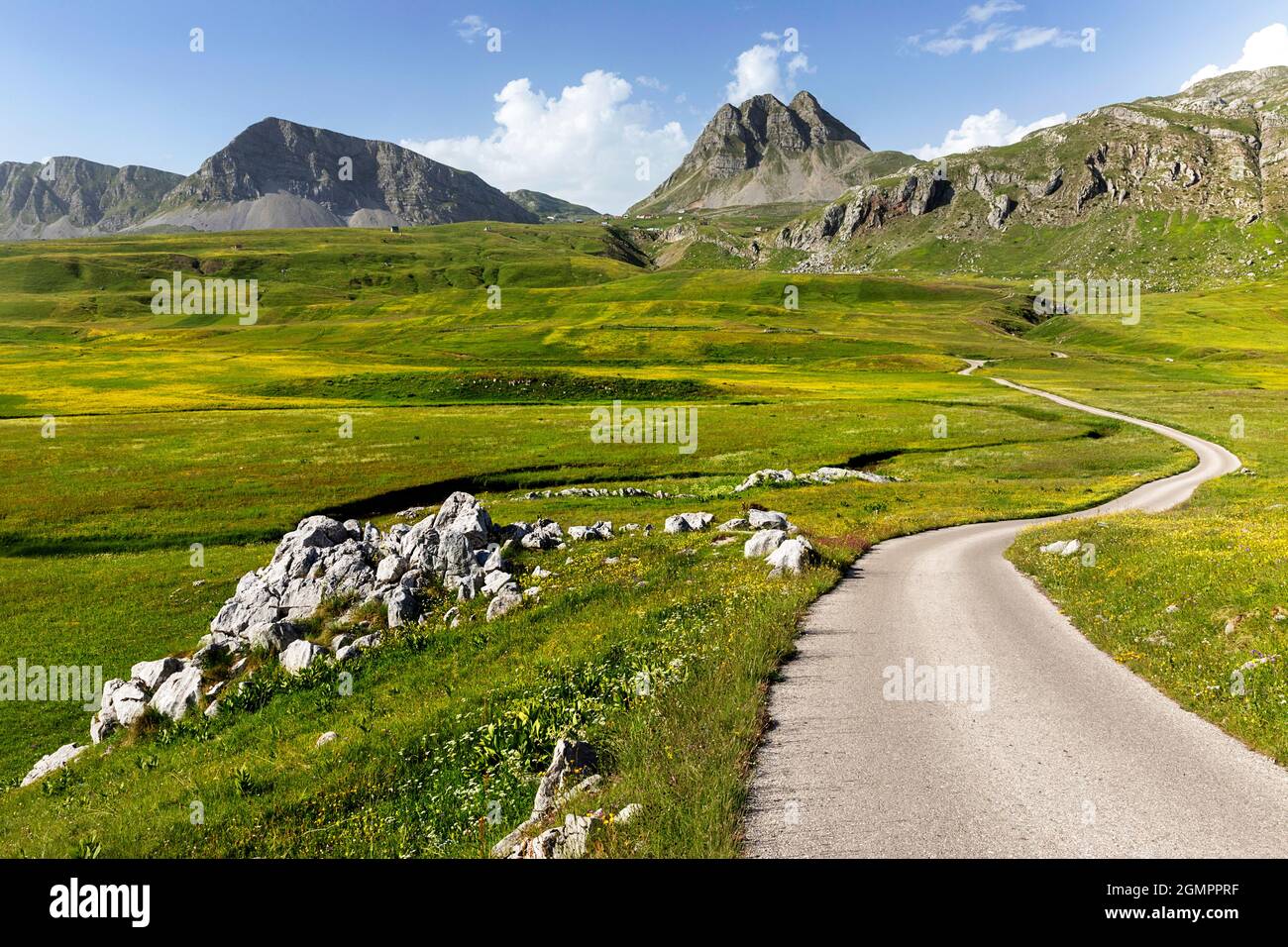 Windy road on a beautiful Lukavica plateau in the middle of the ...