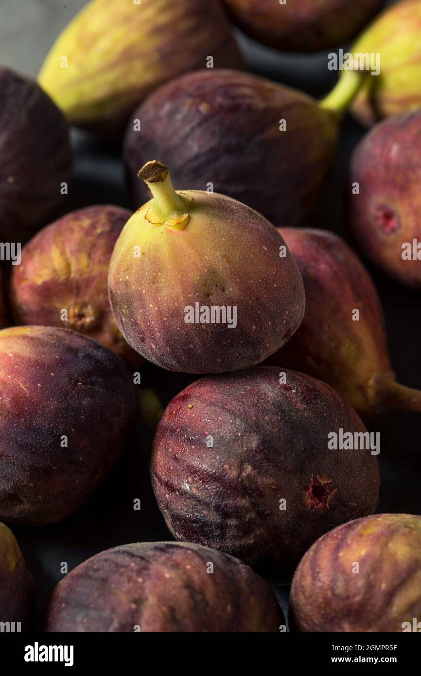 Raw Organic Brown Figs Ready to Eat Stock Photo - Alamy