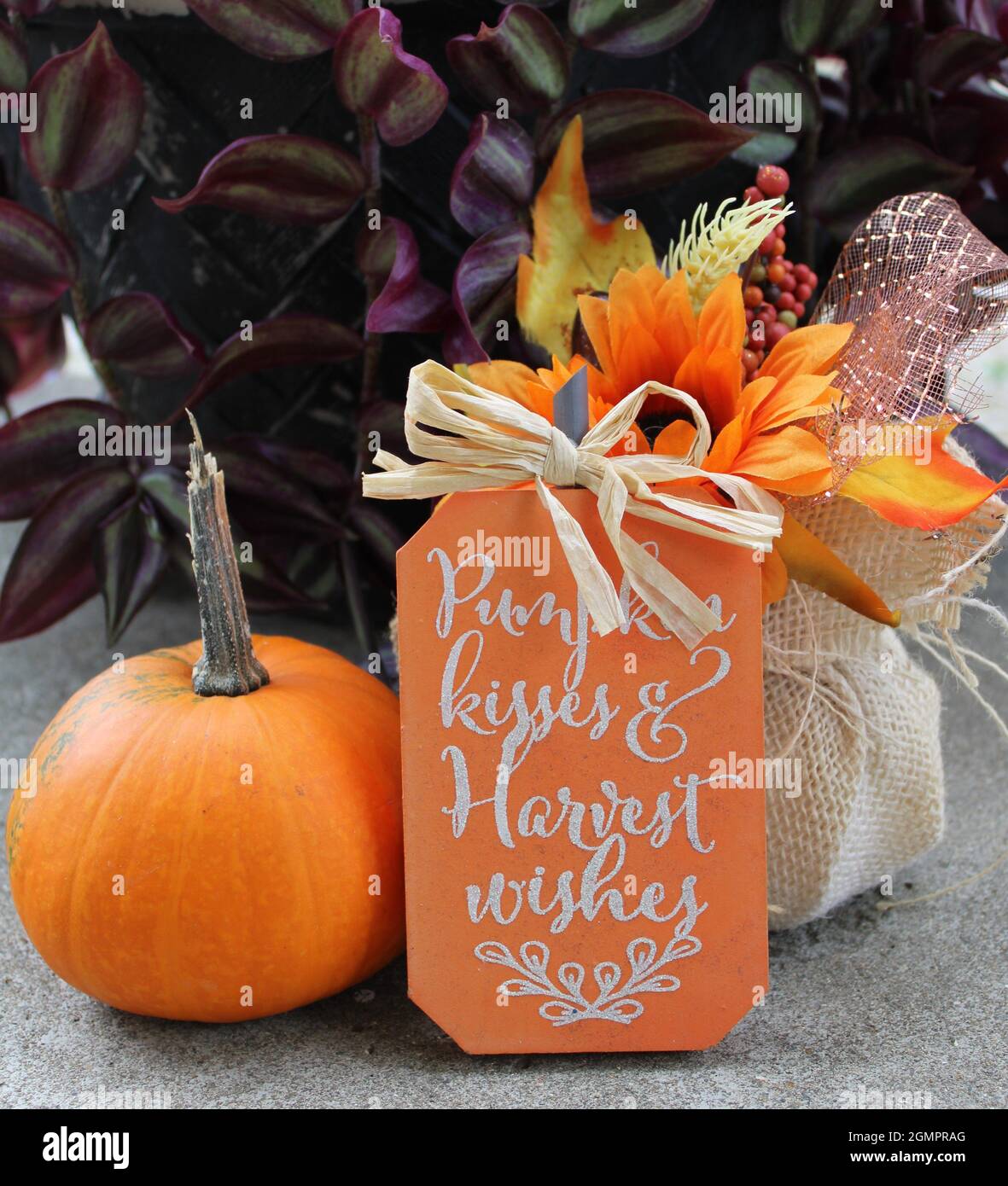 Outdoor fall decor hi-res stock photography and images - Alamy