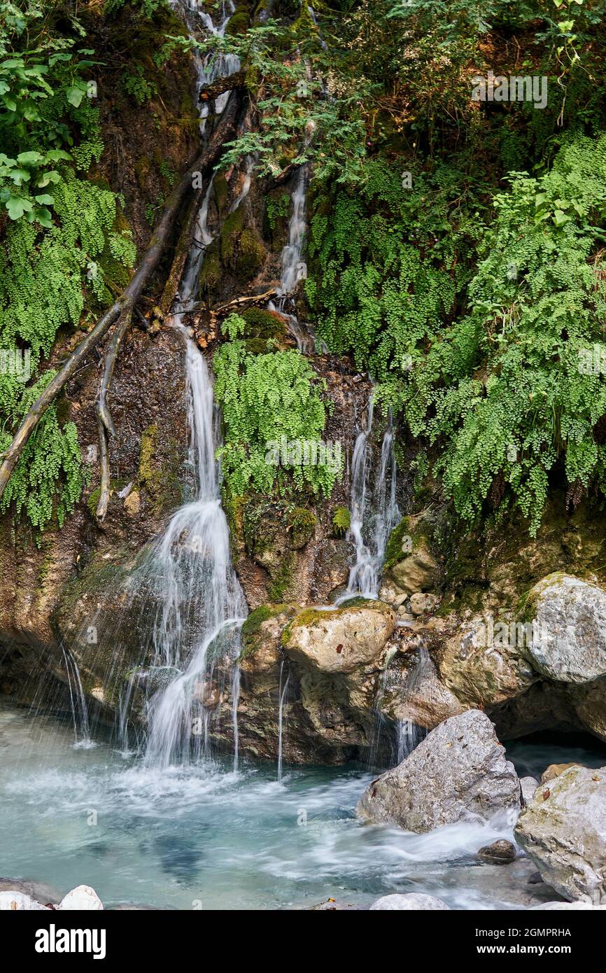 Beautiful waterfall in the forest Stock Photo - Alamy