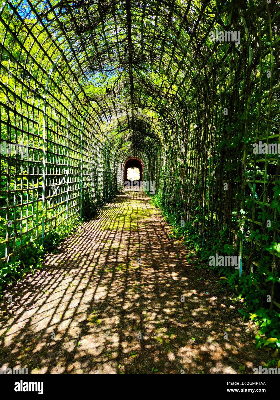 tunnel overgrown with greenery Stock Photo - Alamy