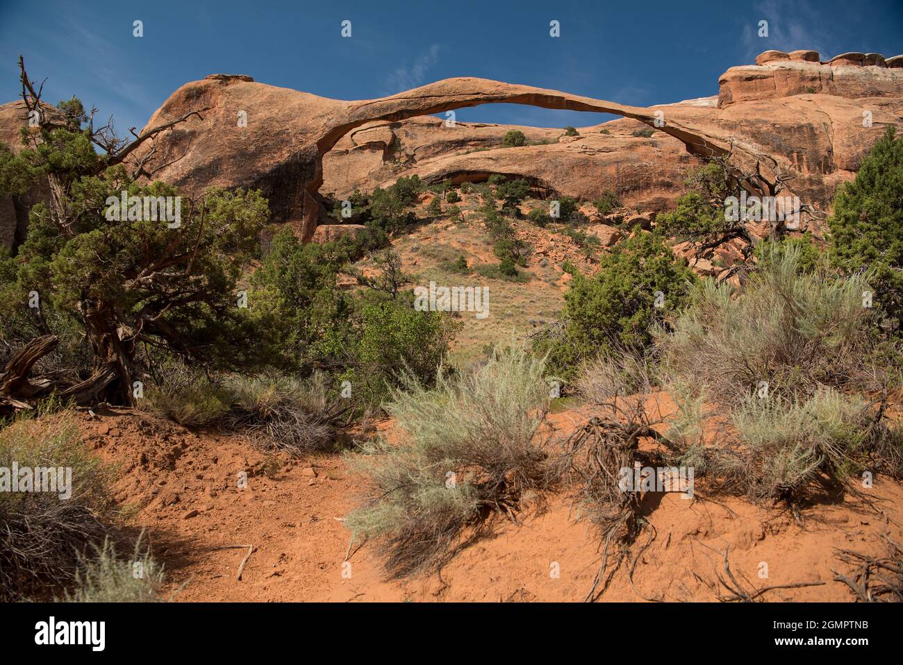 Utah Double arch at Arches National Park Stock Photo - Alamy