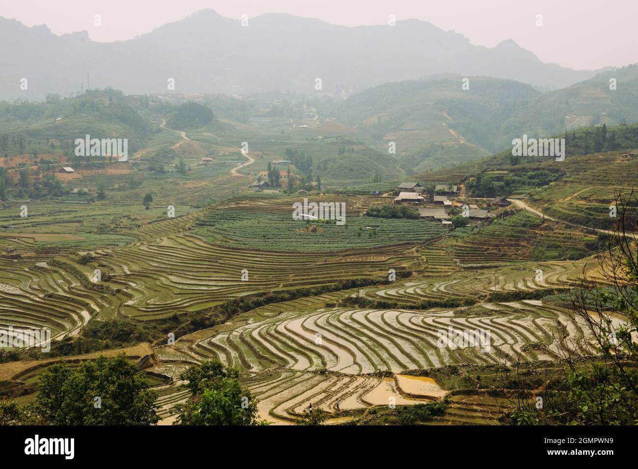 Rice terraces and hills in Sapa, Vietnam. Rural green vietnamese ...
