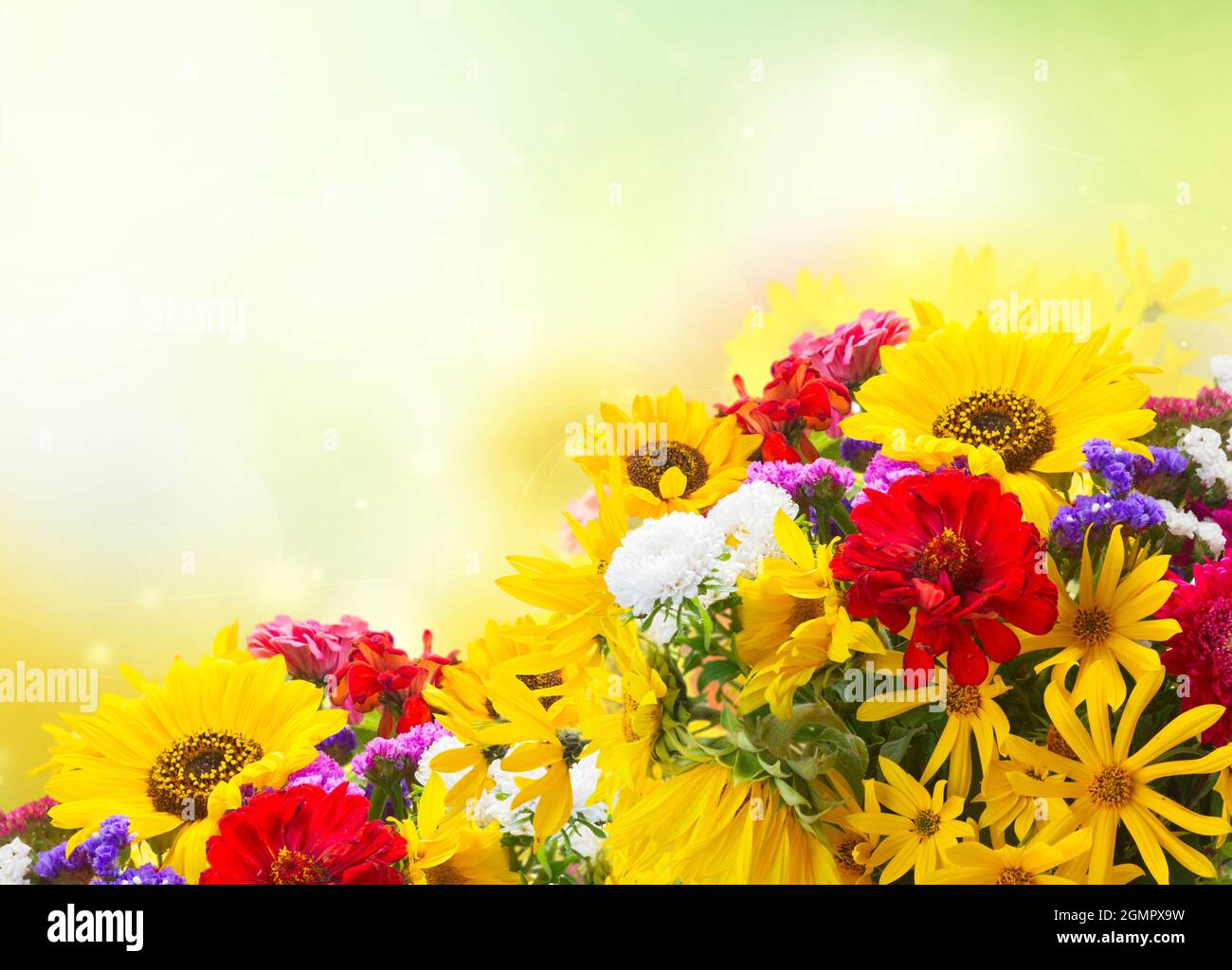 Bright fall bouquet Stock Photo - Alamy