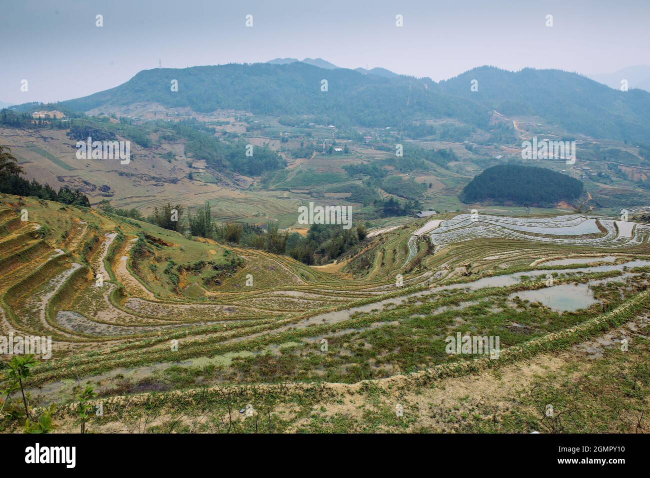 Rice terraces and hills in Sapa, Vietnam. Rural green vietnamese ...