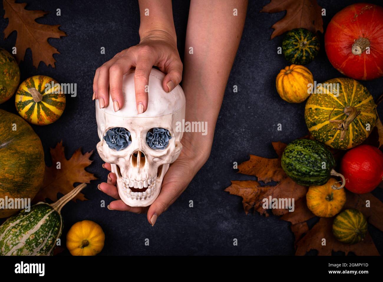Halloween autumn background with skull Stock Photo - Alamy
