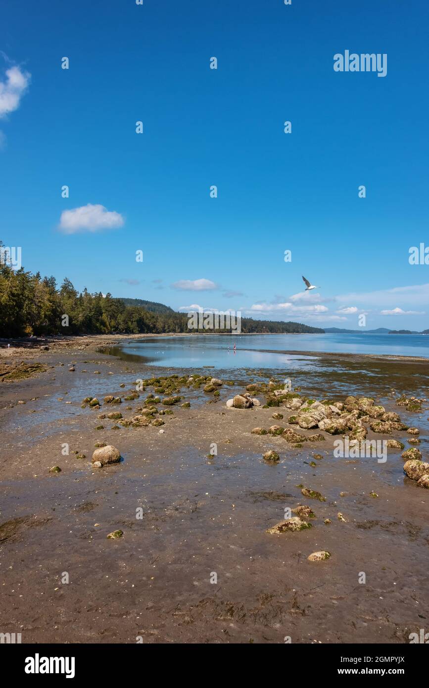 Scenic Shore on Pacific Ocean West Coast Stock Photo - Alamy