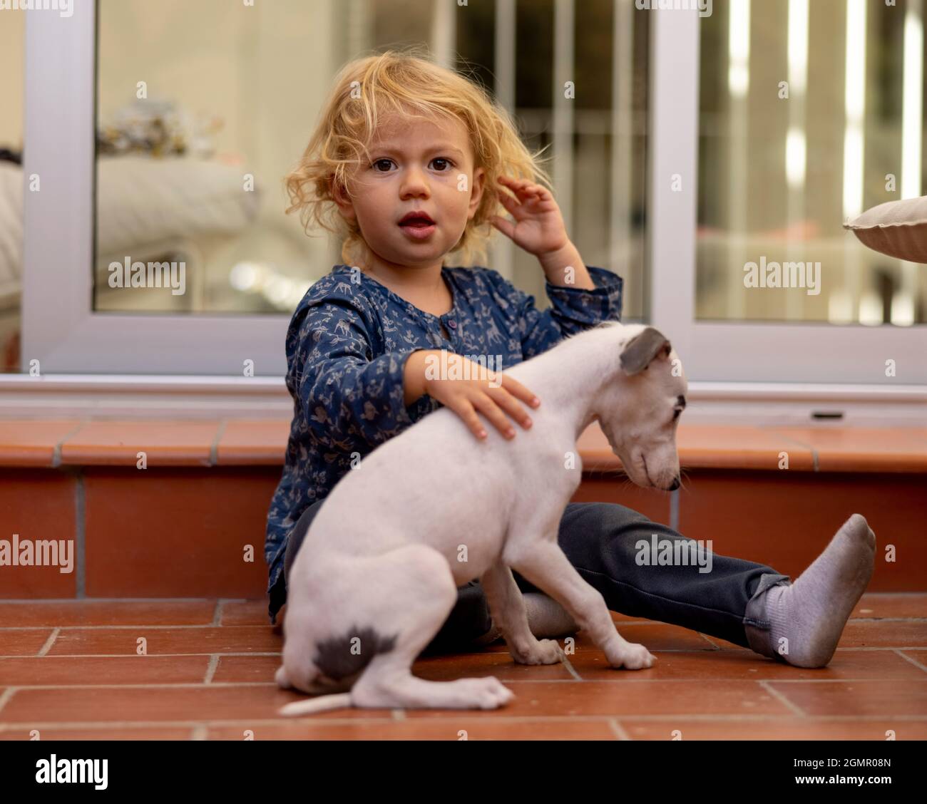 Pet themes hi-res stock photography and images - Alamy