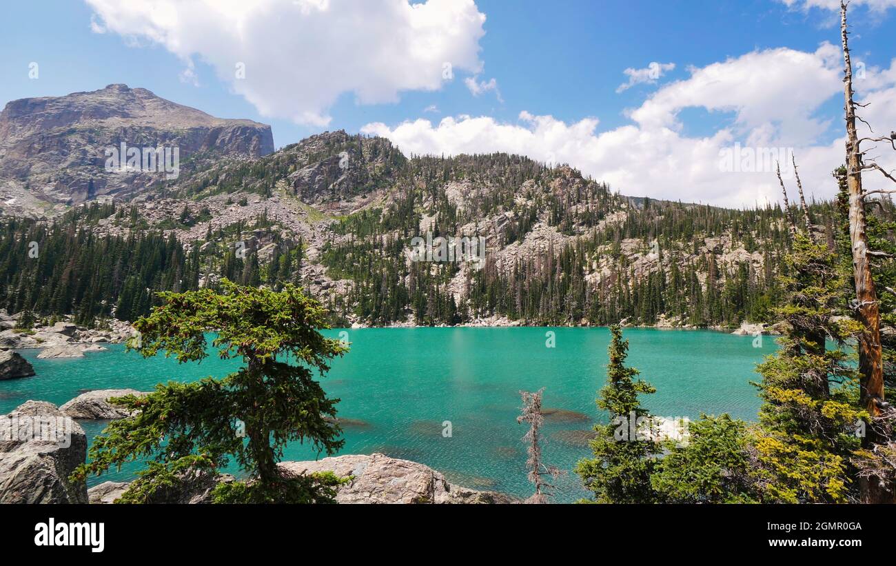 Breathtaking scenery of a lake and coniferous forest in the Rocky ...