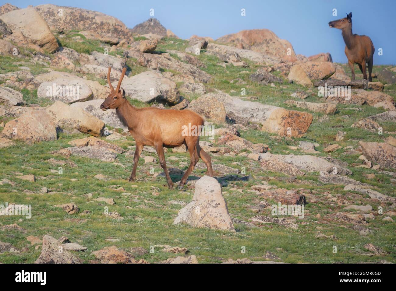 Andean exploration hi-res stock photography and images - Alamy