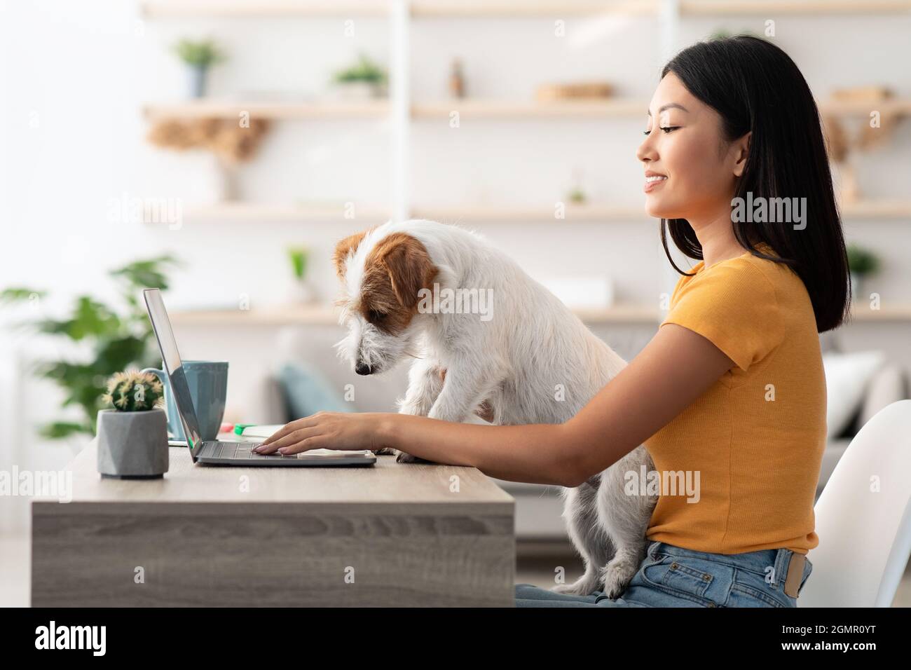 Funny puppy helping its mother to work from home Stock Photo - Alamy