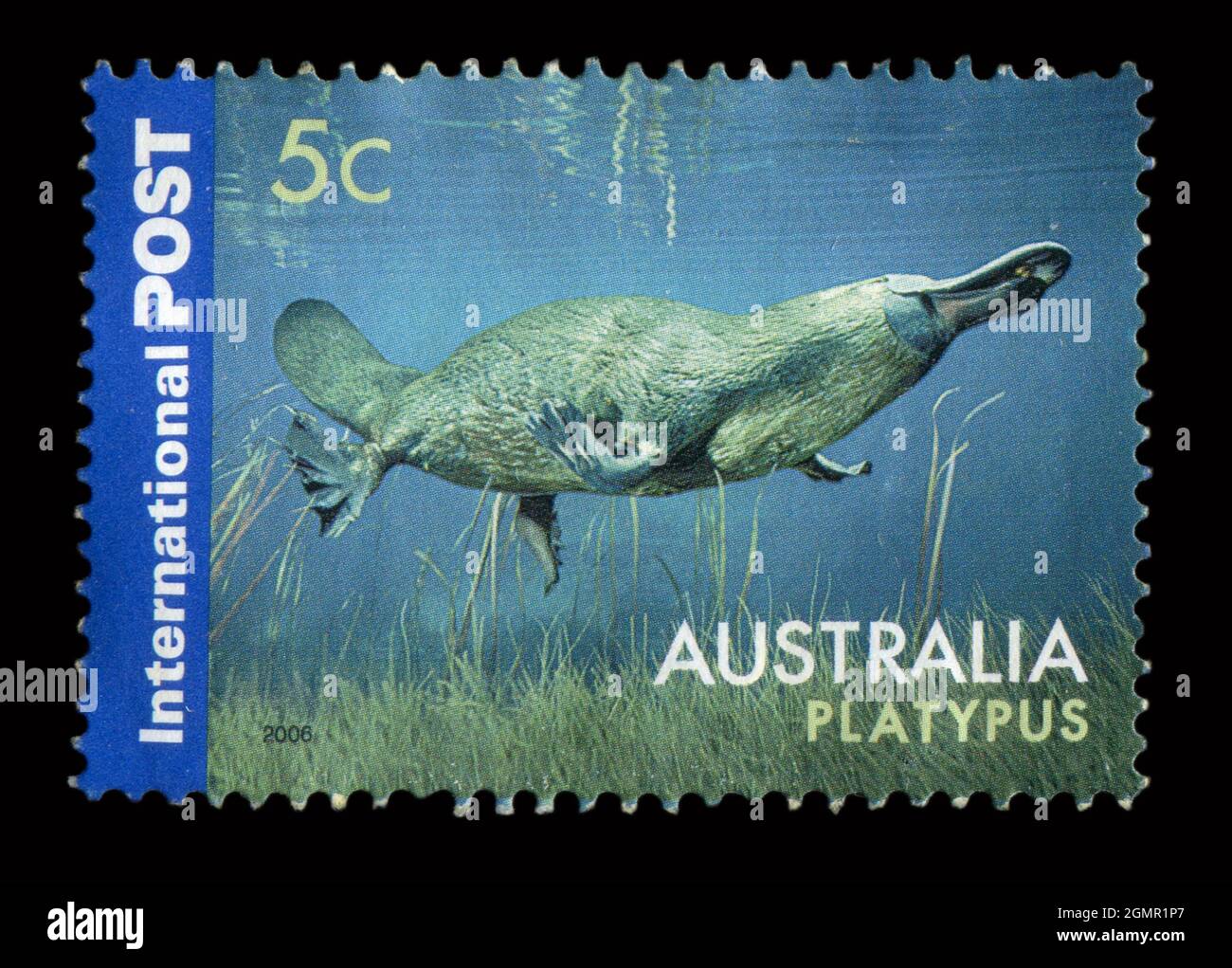 Platypus australia postage stamp hi-res stock photography and images ...