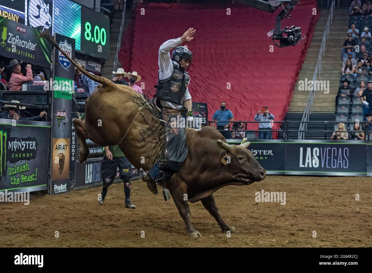 Amys pet hi-res stock photography and images - Alamy