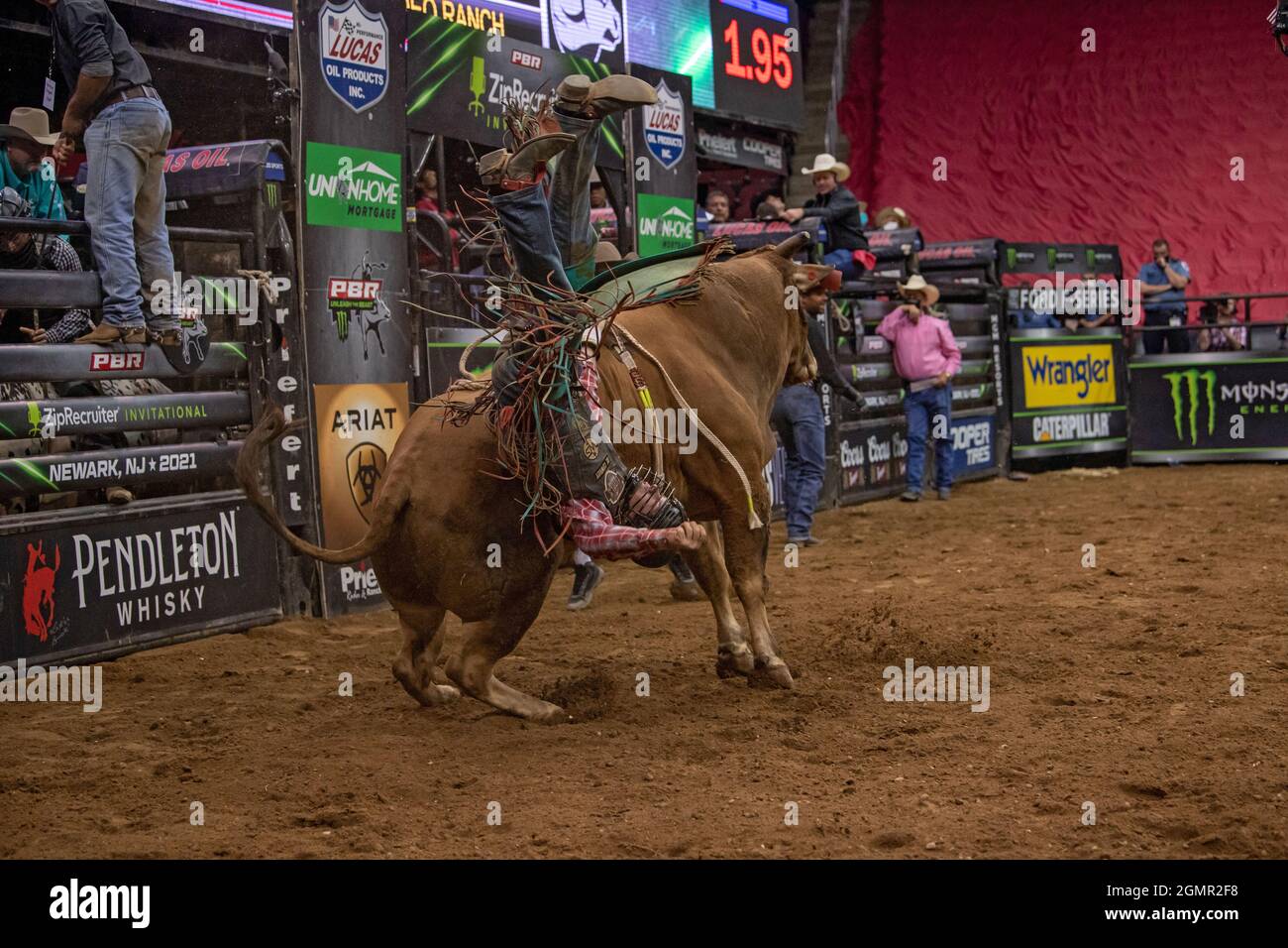 Grayson cole hi-res stock photography and images - Alamy