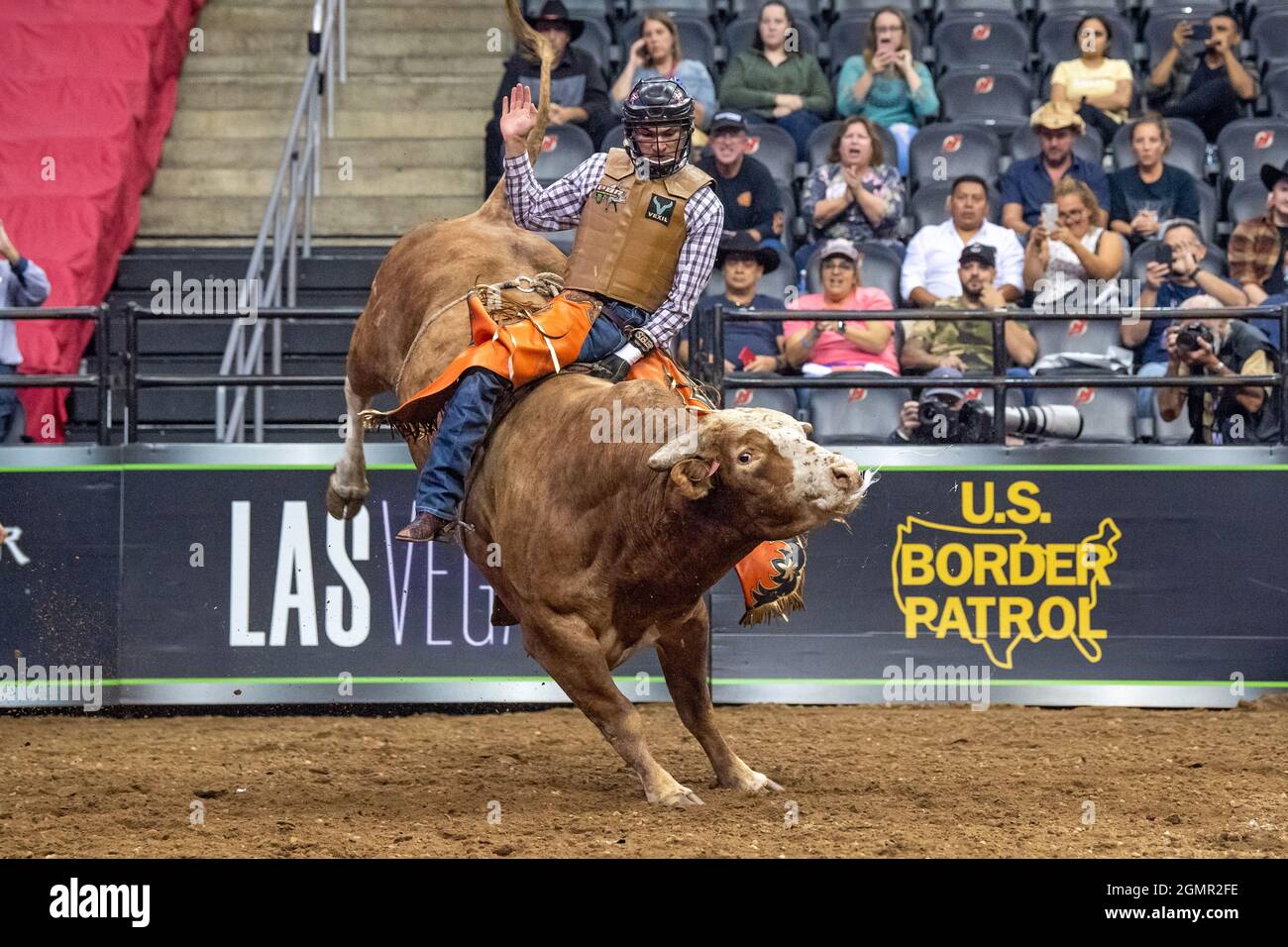 Bull Riding Wallpaper