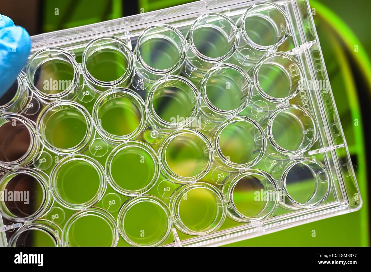 24-well plate for cell culture studies. Abstract background on the ...