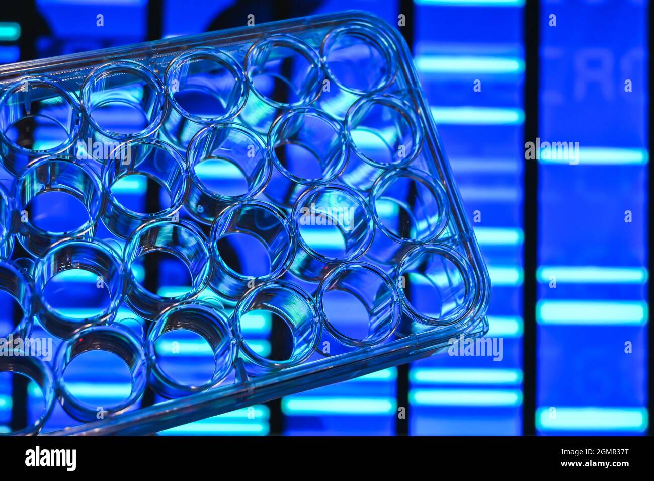 24-well plate for cell culture studies. Abstract background on the ...