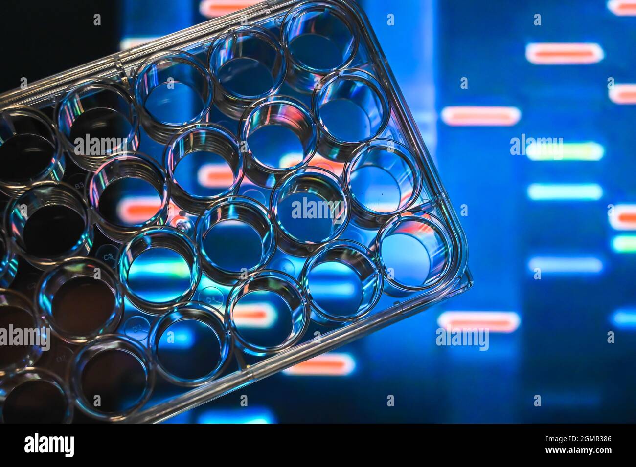 24-well plate for cell culture studies. Abstract background on the ...