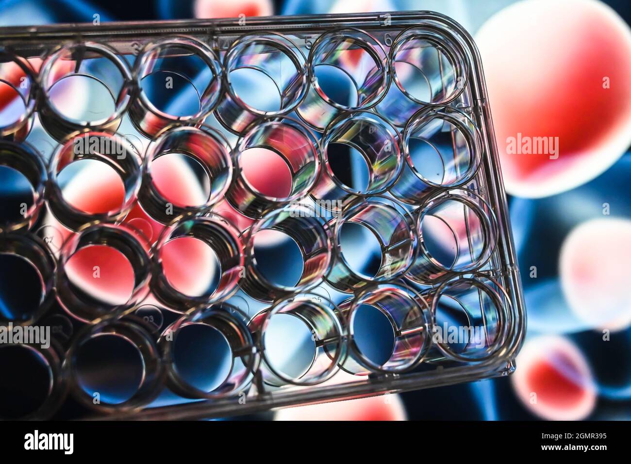 24-well plate for cell culture studies. Abstract background on the ...