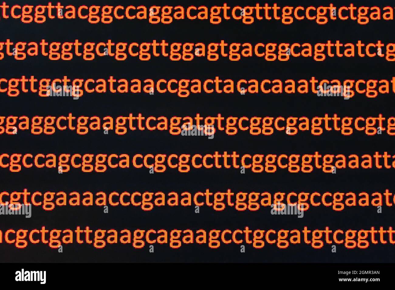Abstract background, genome sequencing. The sequence of the nucleotide ...
