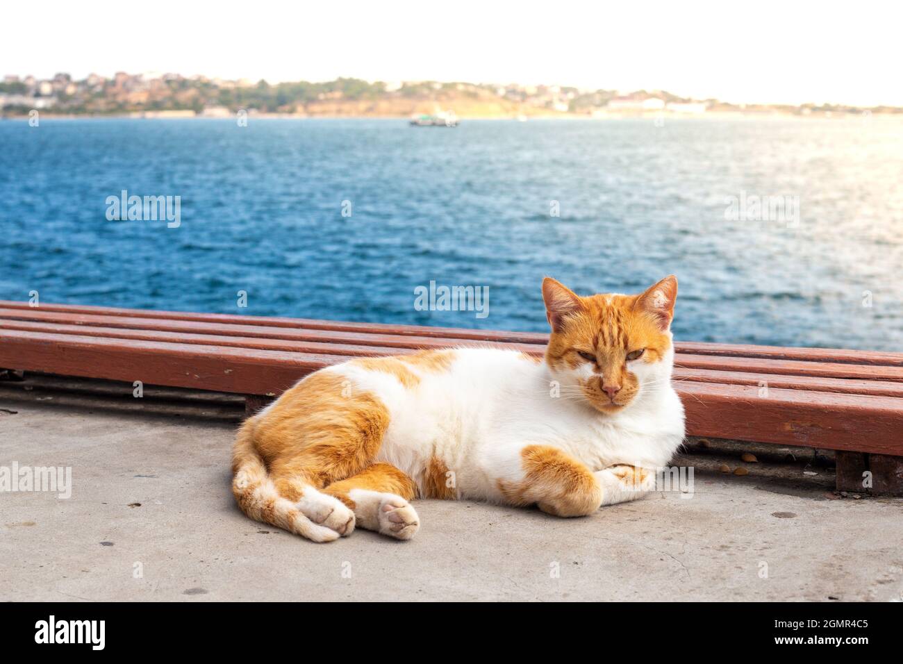 Sun spots face hi-res stock photography and images - Alamy