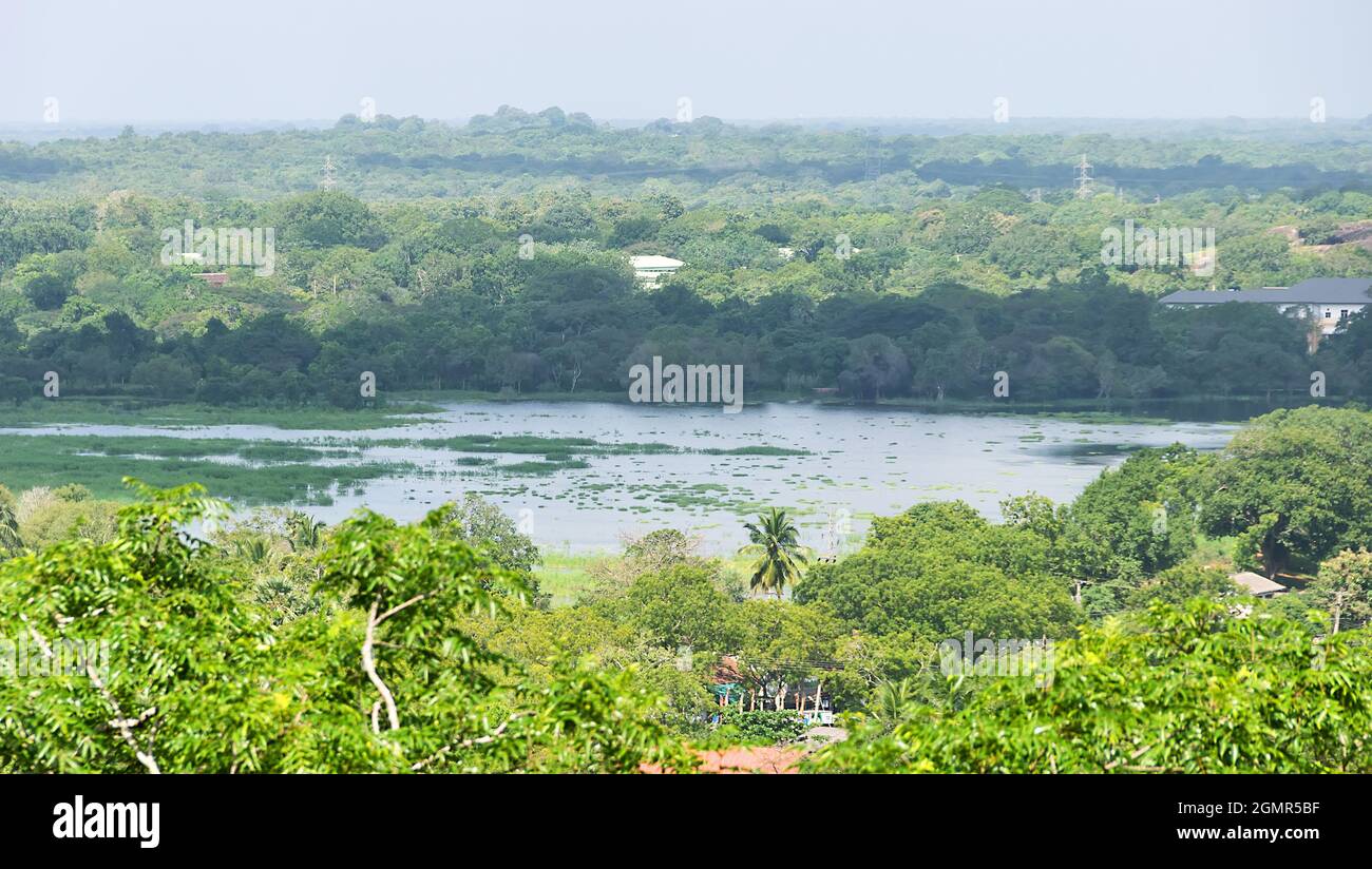 Panoramic views of the rain forest, groves, plantations, low-lying ...