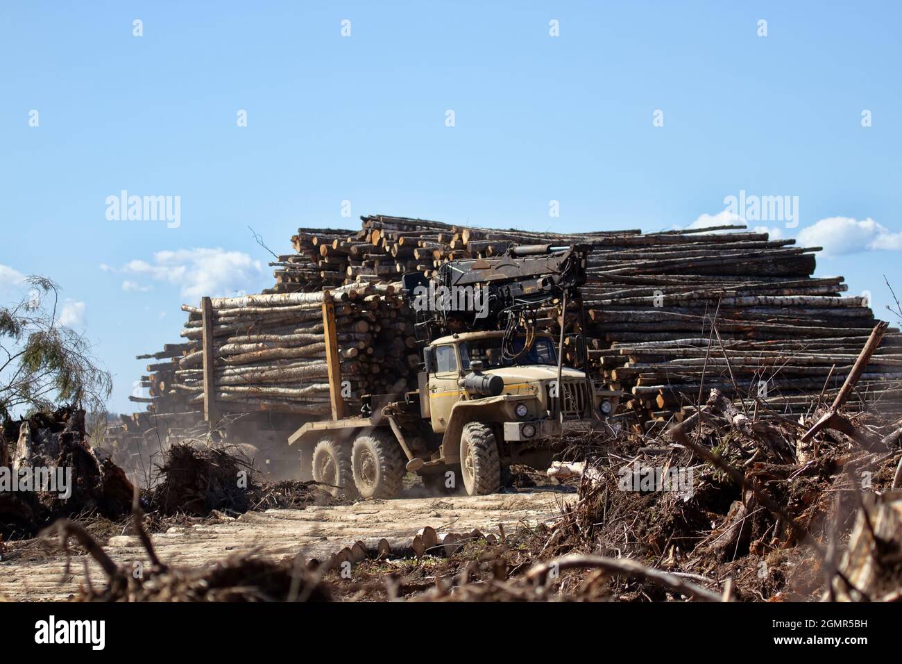 Forest industry. Operations for loading-unloading logging truck at ...