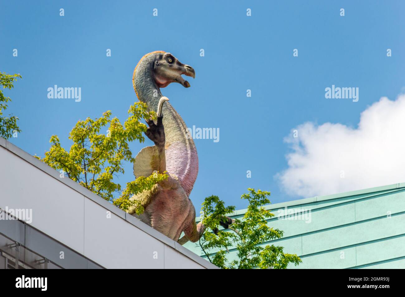 Dino park hi-res stock photography and images - Alamy