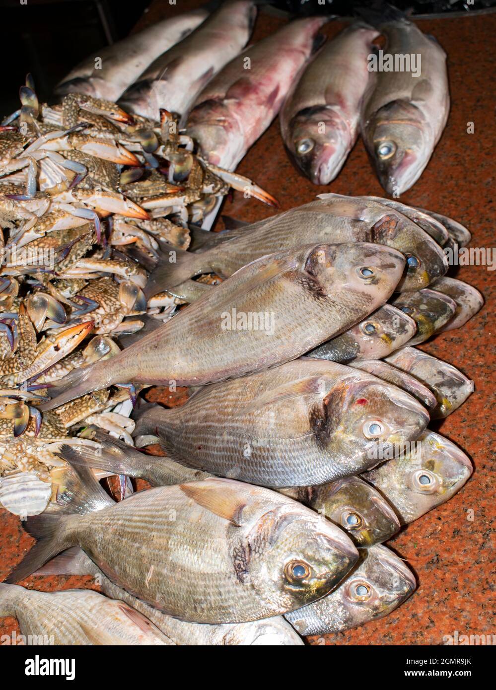 Seafood, fish and crab fresh from the sea with colorful skin and hard ...