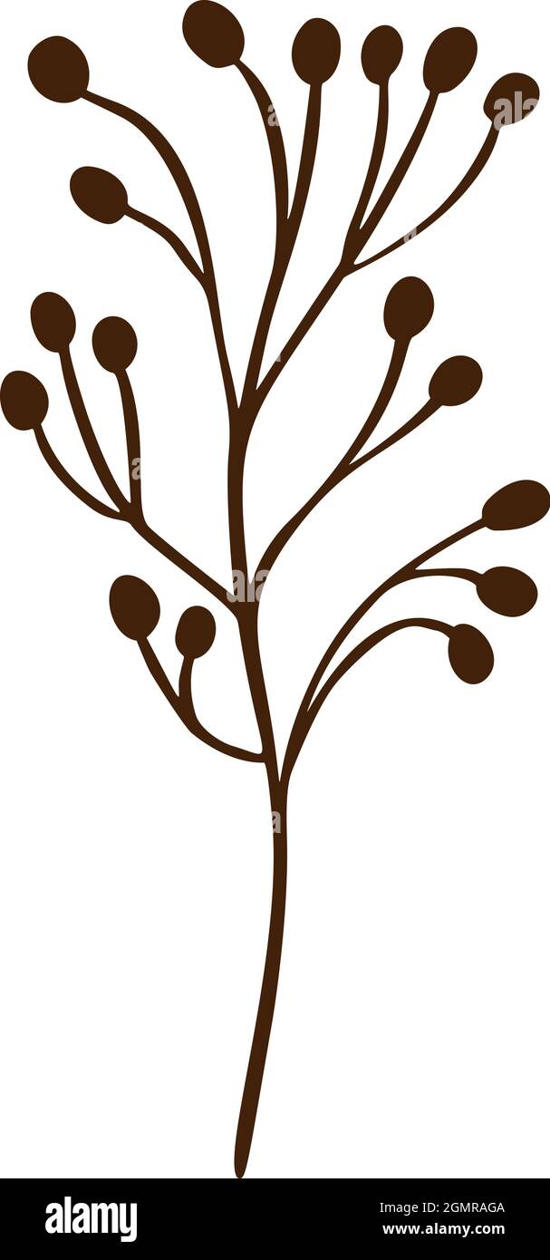 Tiny grass flower Cut Out Stock Images & Pictures - Alamy