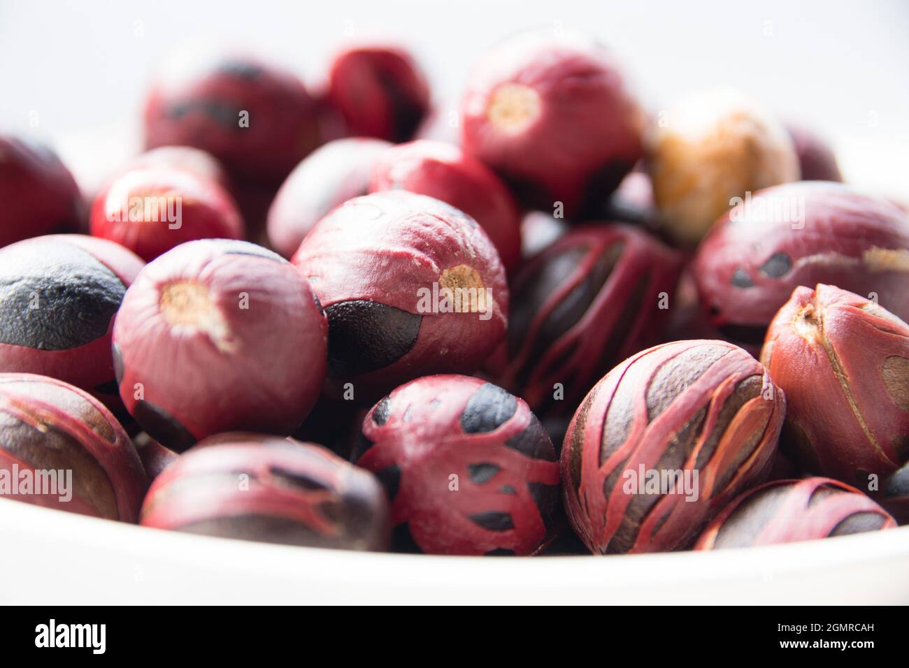 closeup of nutmeg in a bowl, penang malaysia Stock Photo - Alamy