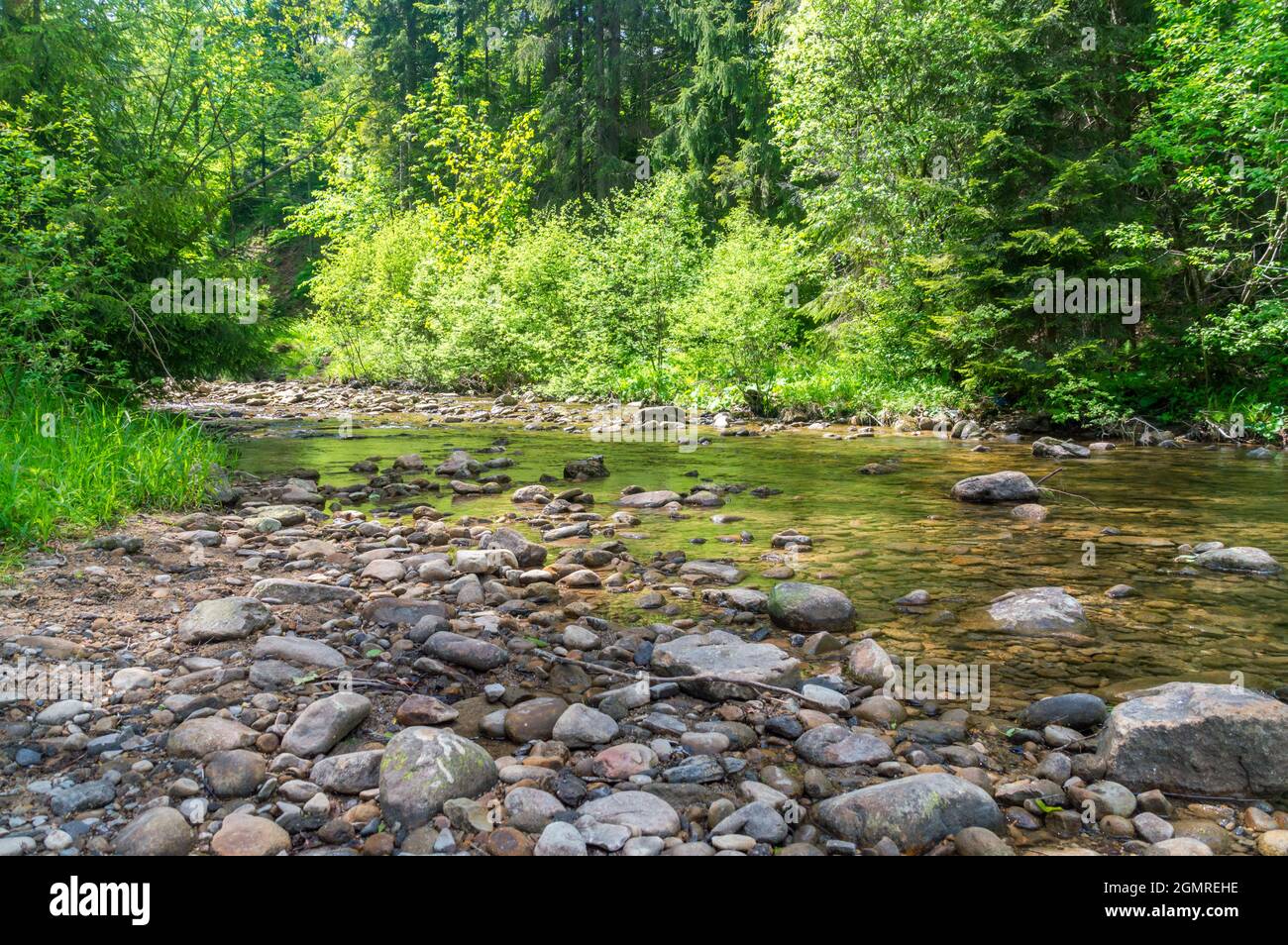 Czarna Wiselka - the source creek of the Vistula River Stock Photo - Alamy