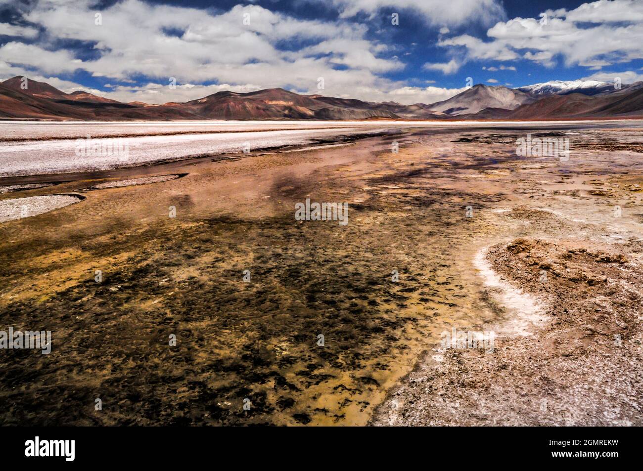 Imagenes de naturaleza hi-res stock photography and images - Alamy