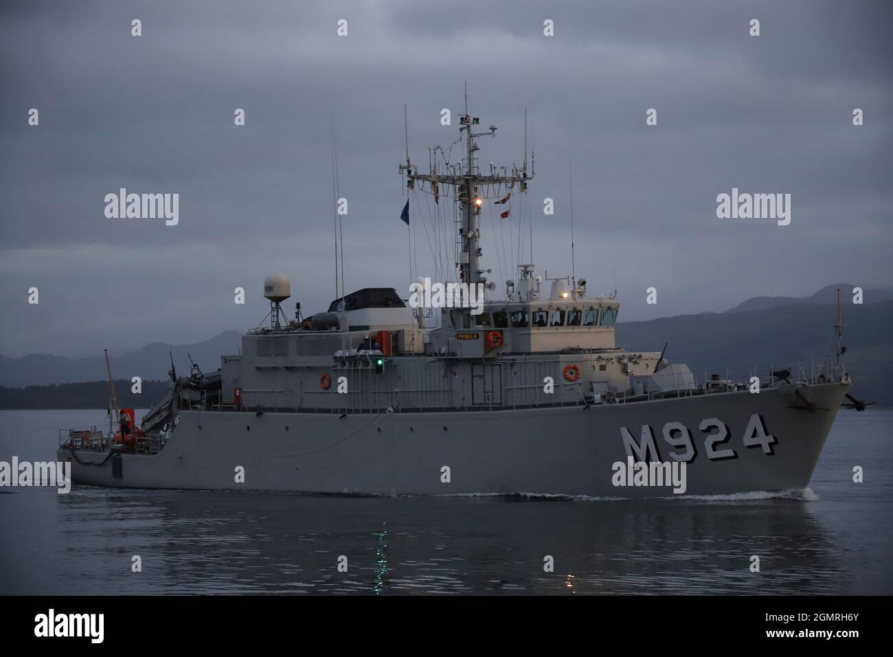 Bns primula m924 flower class tripartite hi-res stock photography and ...