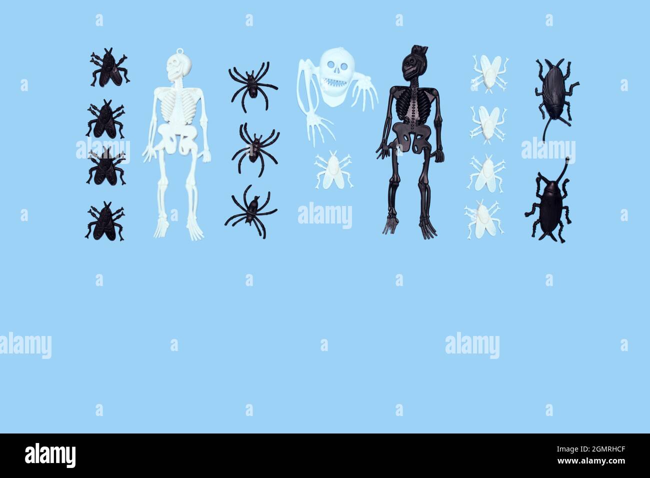 Human cockroach hi-res stock photography and images - Alamy