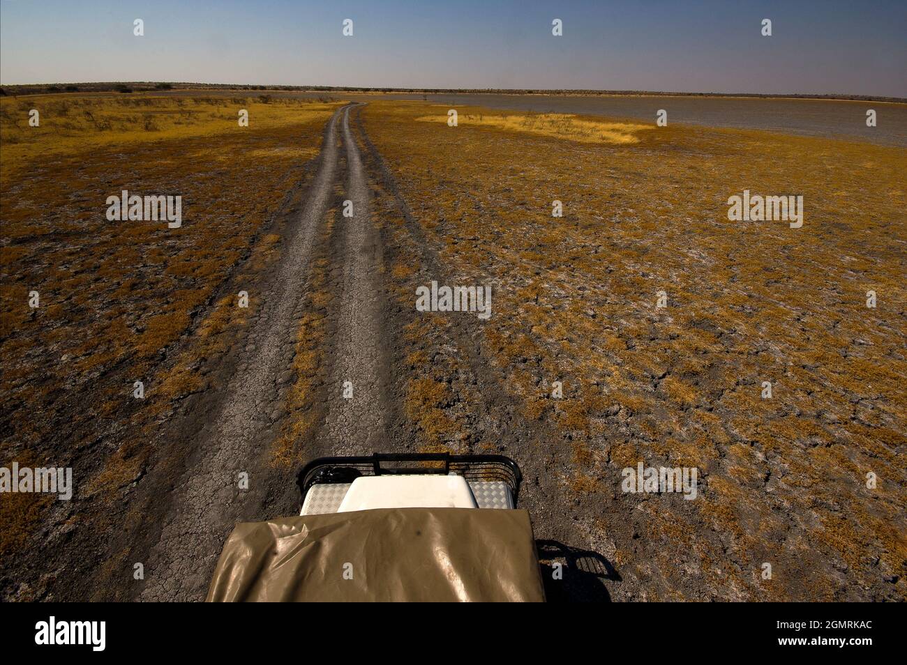 Deception Valley, Central Kalahari Game Reserve, Botswana Stock Photo ...