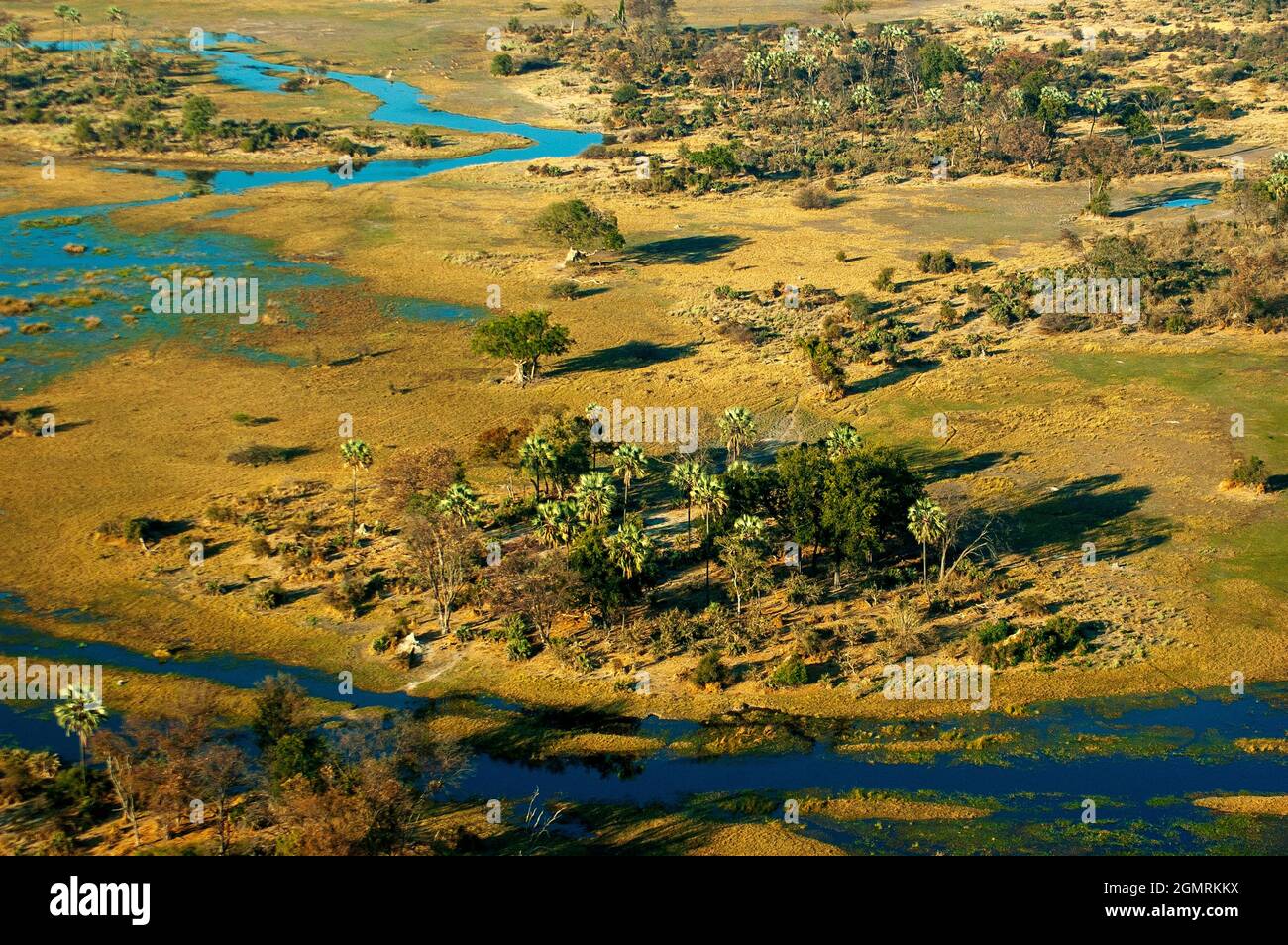 Aerial view of the Okavango Delta, Moremi Game Reserve, Botswana Stock ...