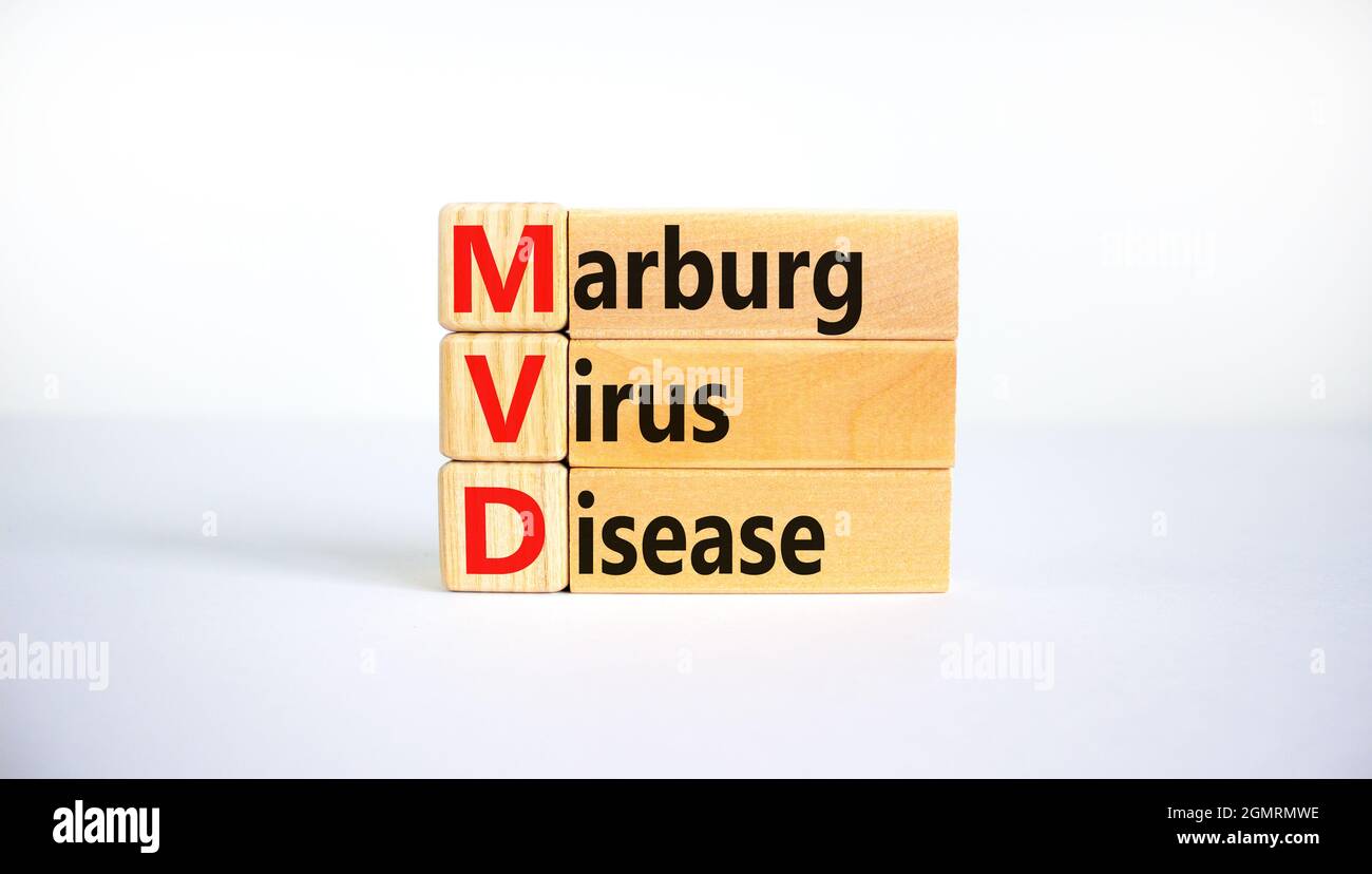 MVD, Masrburg virus disease symbol. Concept words MVD, Masrburg virus ...